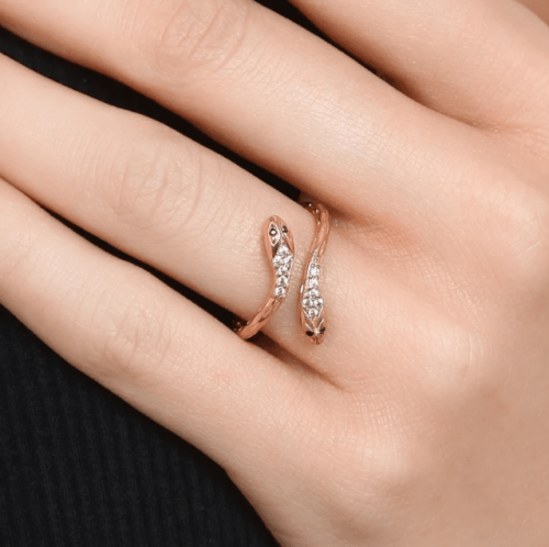 Nhẫn hình con rắn có ý nghĩa gì? Có nên đeo không?